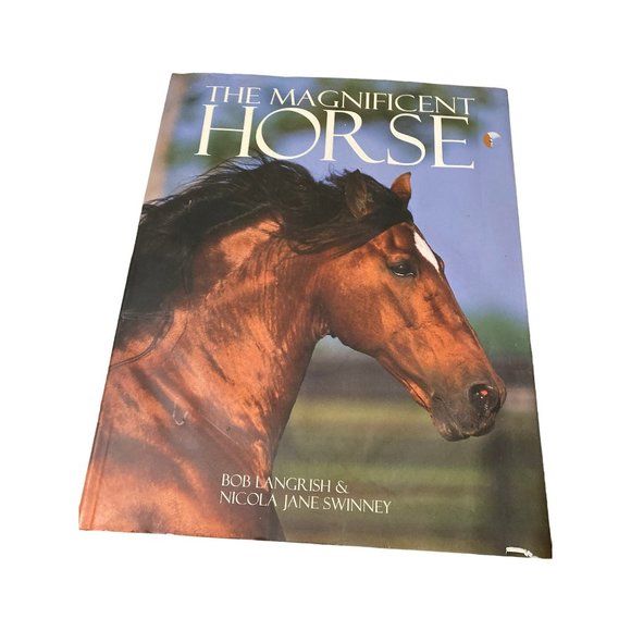 Parragon | Accents | The Magnificent Horse Oversize Coffee Table Book ...